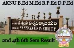 Adikavi Nannaya University B.Ed/M.Ed/B.P.Ed/D.P.Ed Result 2024~2nd 4th ...