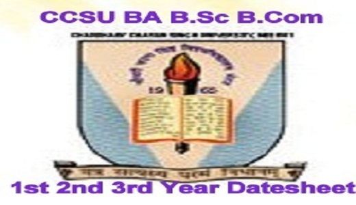 CCSU Date Sheet 2022 ~BA BSC BCOM 1st 2nd 3rd Year Time Table